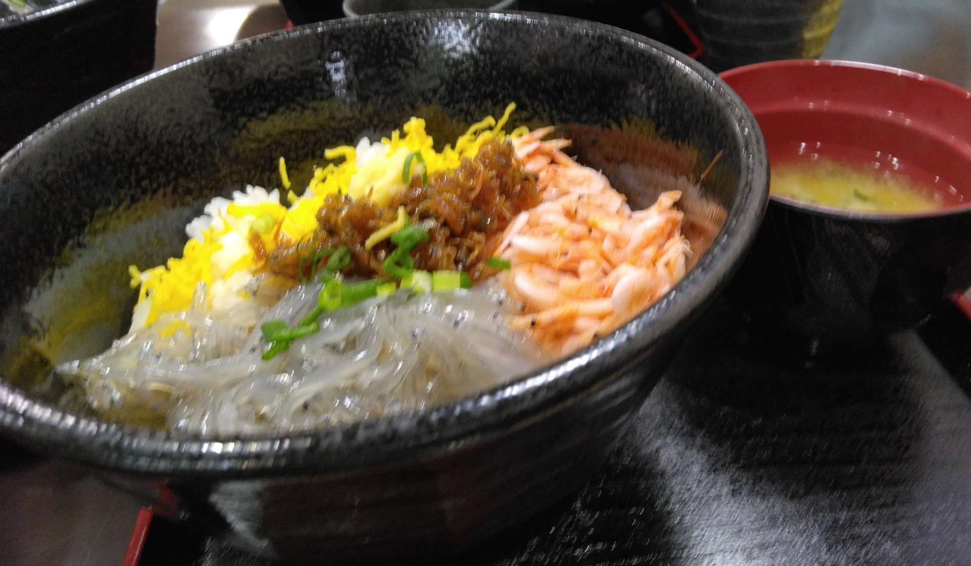 1495） 江の島: バラの四季